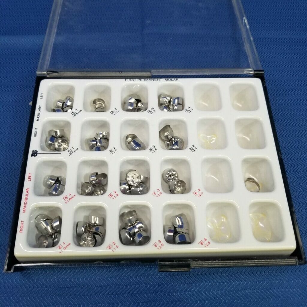 First Permanent Molar Crowns – 77 pieces